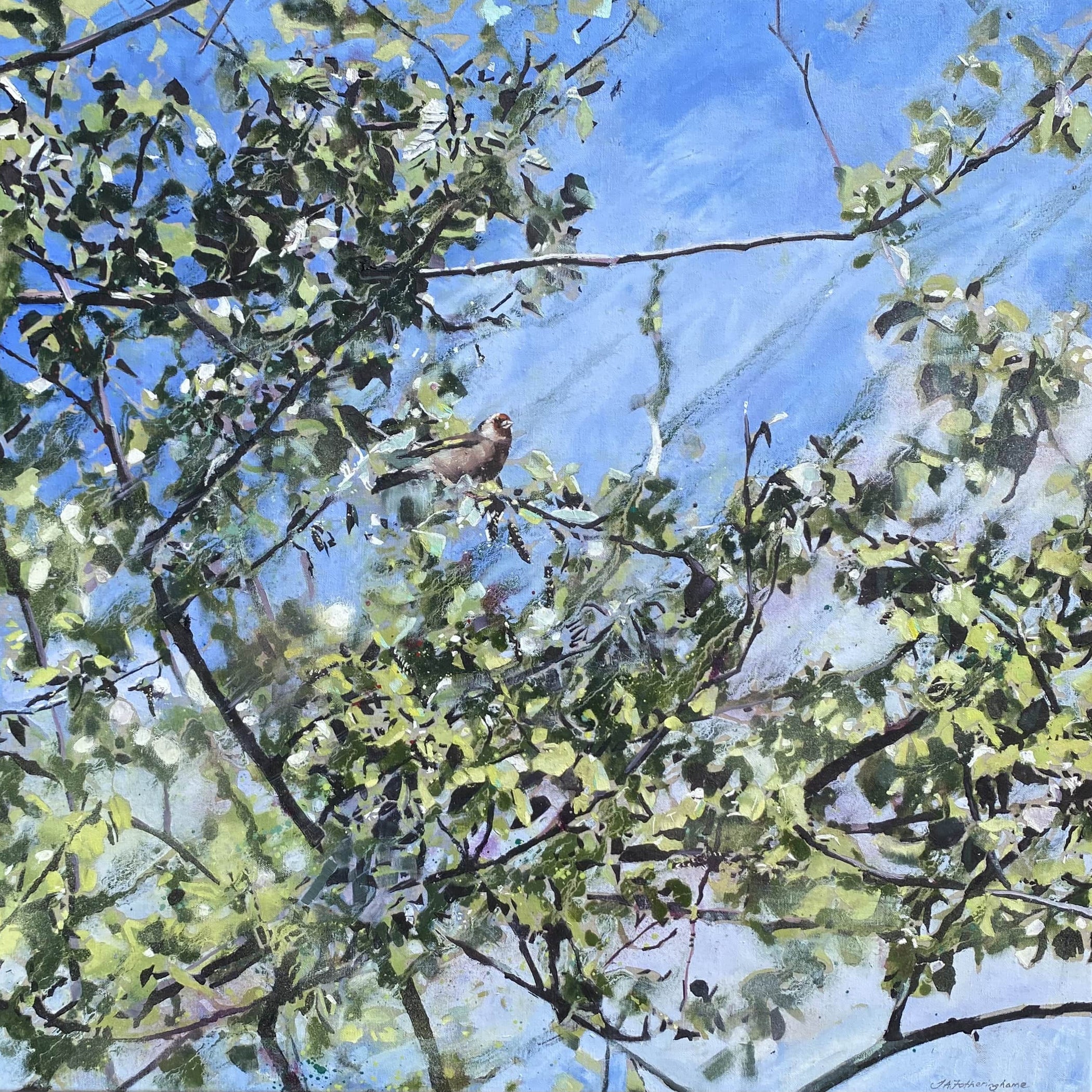 James Fotheringhame | Goldfinch, White Poplar | The Biscuit Factory