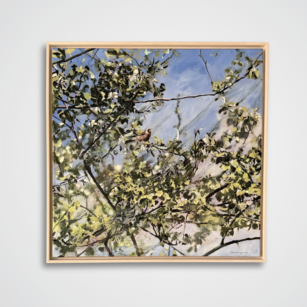 James Fotheringhame | Goldfinch, White Poplar | The Biscuit Factory