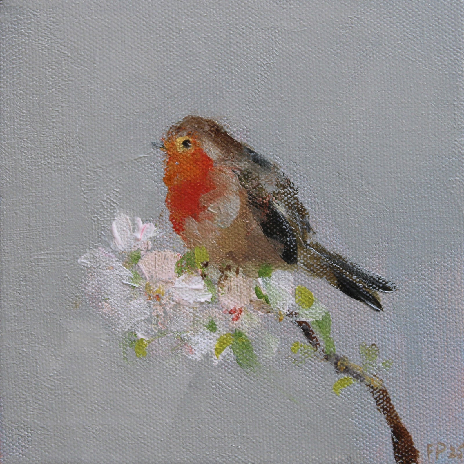 Robin With Blossom | Fletcher Prentice | The Biscuit Factory