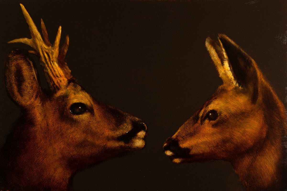 Roe and Deer | Andrew Tyzack | The Biscuit Factory