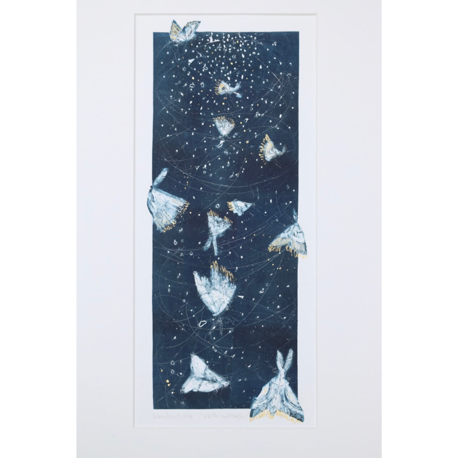 Moths and Fireflies | Susan Davies | The Biscuit Factory