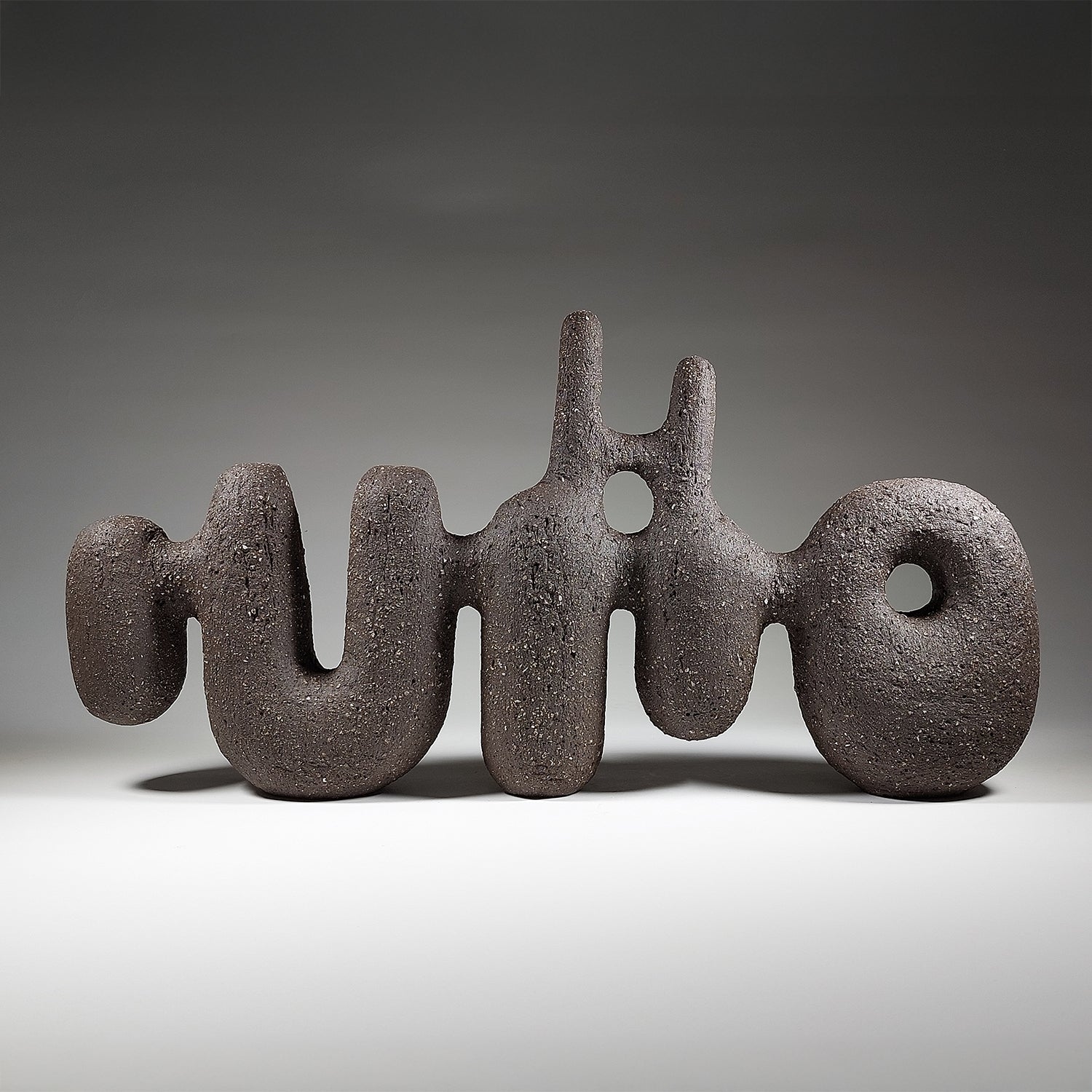 Black Echo Form | Rachel Peters | The Biscuit Factory